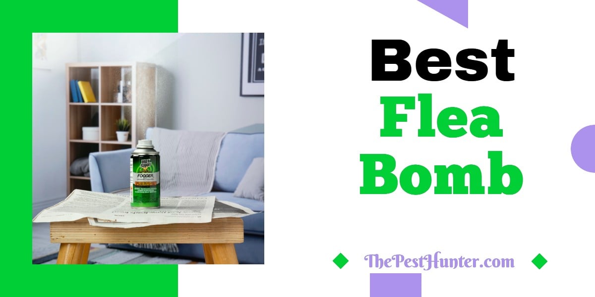 Best Flea Bombs in 2020 | Which Ones Actually Solved Your Problem Fast